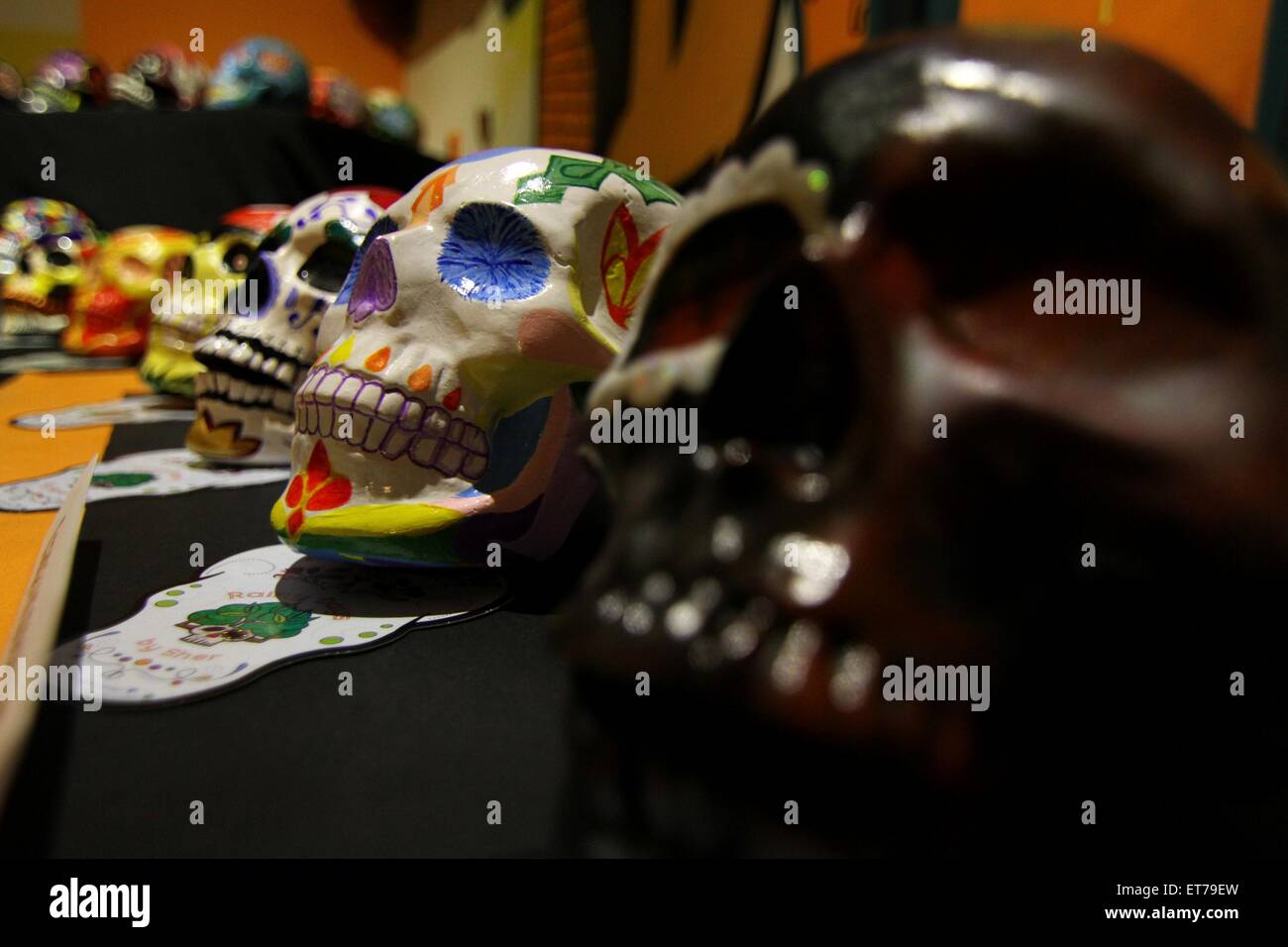 Handmade and painted skulls go on display at a unique skull exhibition ...