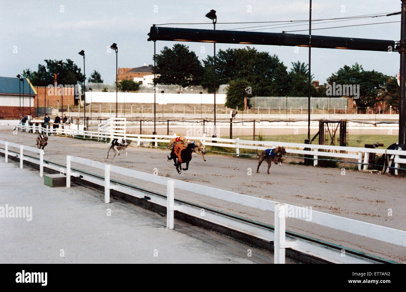 Greyhound stadium hi-res stock photography and images - Alamy