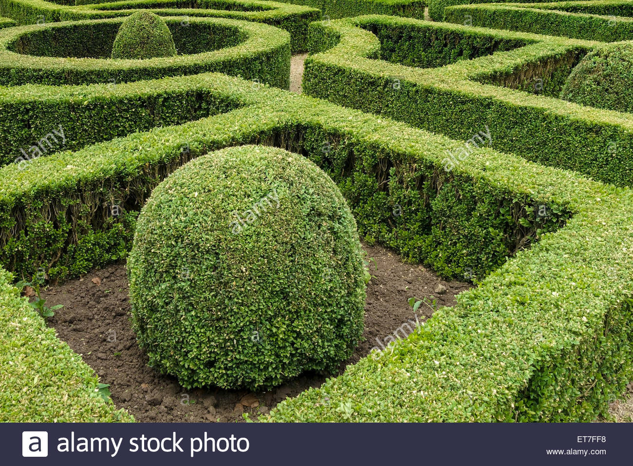 Decorative Hedge High Resolution Stock Photography and Images - Alamy