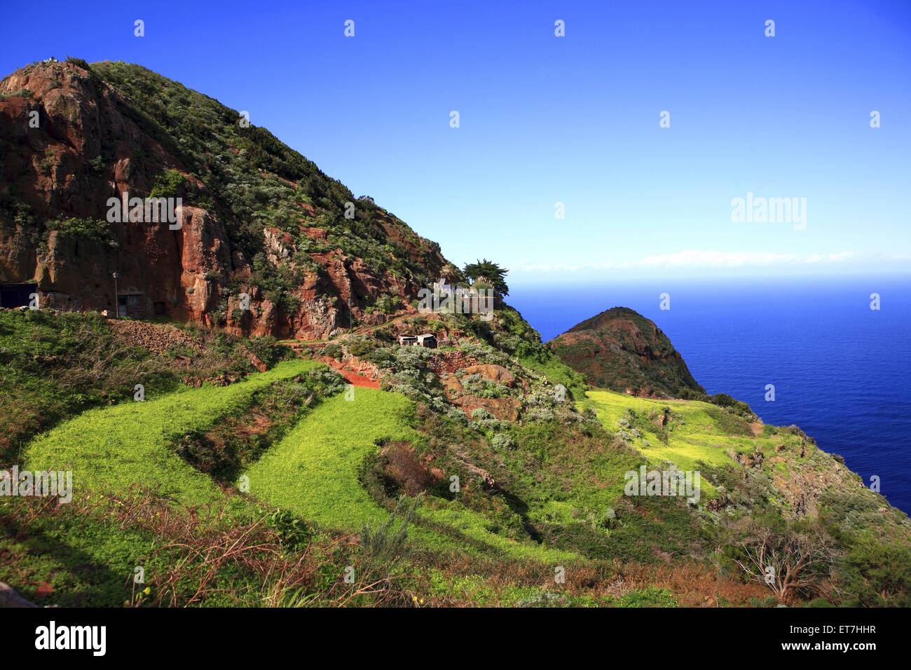 Terrassenanbau im Anaga-Gebirge, Kanaren, Teneriffa, Chinamada ...