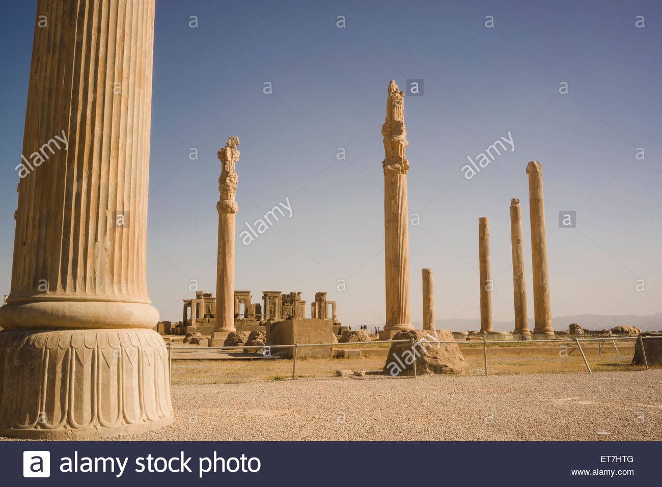 Apadana Columns Stock Photos & Apadana Columns Stock Images - Alamy