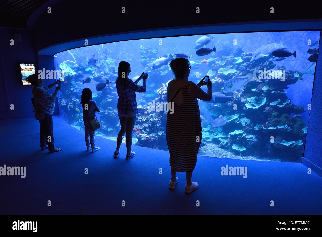 Visitors taking pictures in front of the Big Blu Basin, Palma Aquarium ...