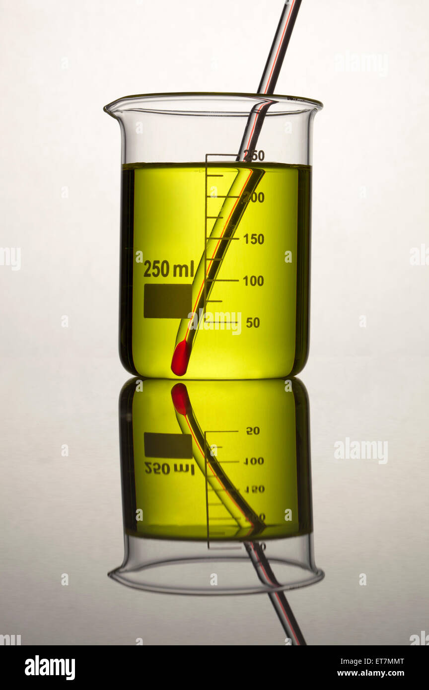 Beaker With Water And Thermometer