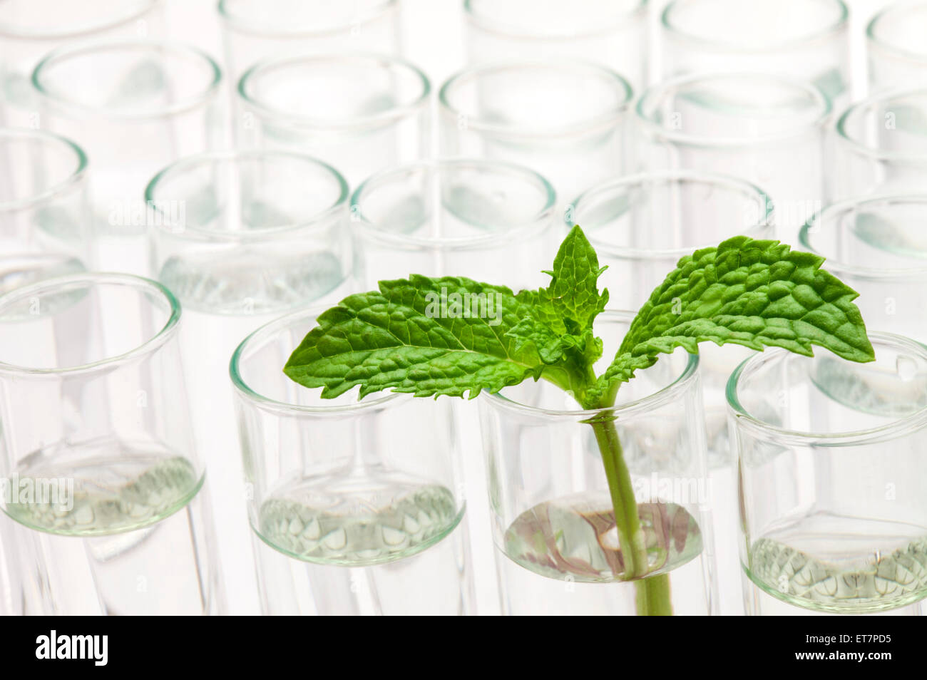 Healthcare And Medicine,Glassware,Laboratory Glassware,Utensil,,Test ...
