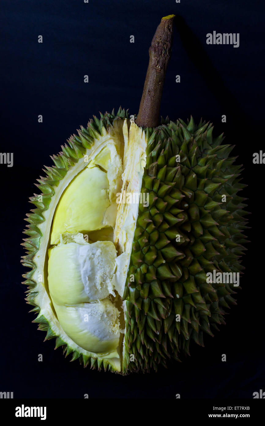 Still life durian, famous fruit of Thailand Stock Photo - Alamy