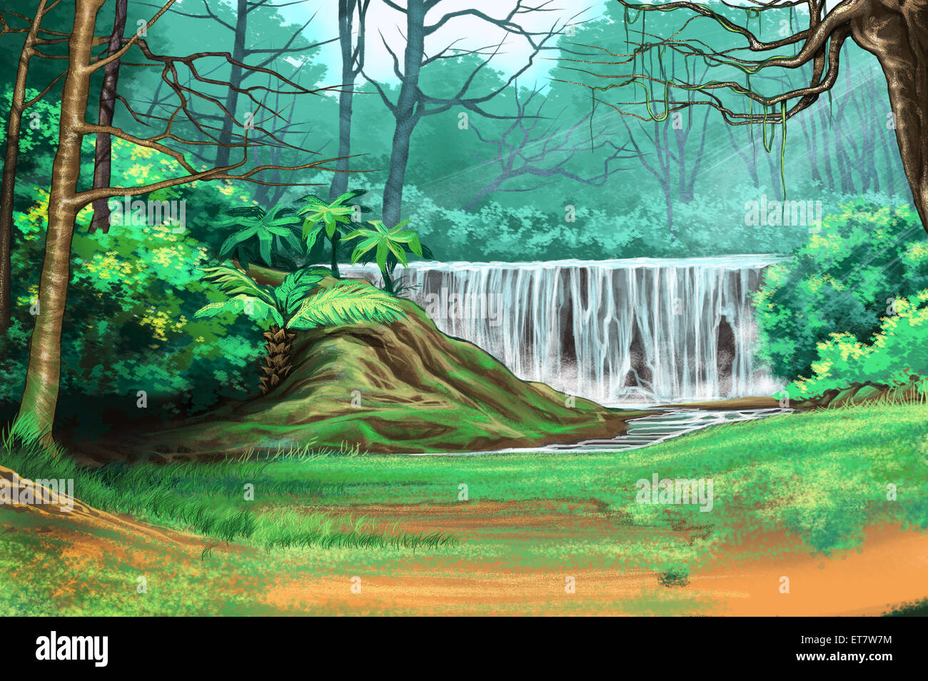 Rainforest, Illustration Technique Stock Photo - Alamy