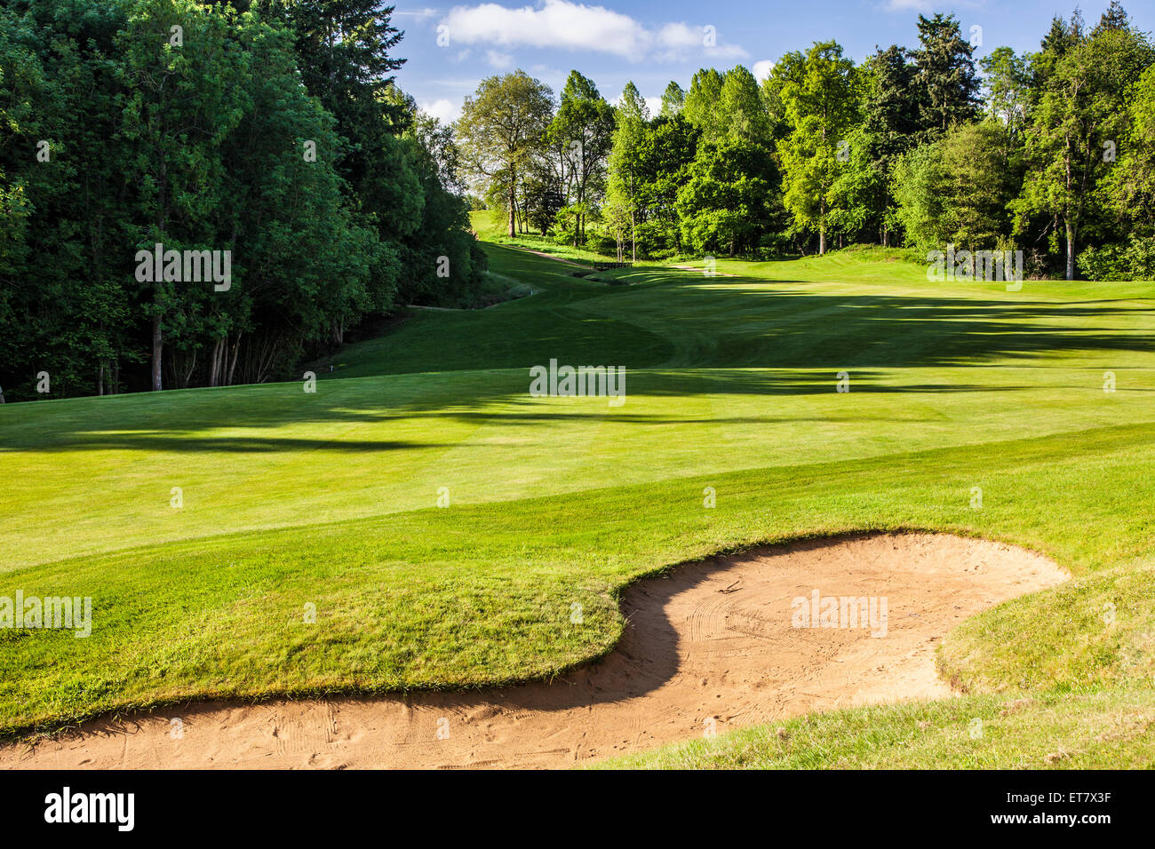 Stowe golf course hi-res stock photography and images - Alamy