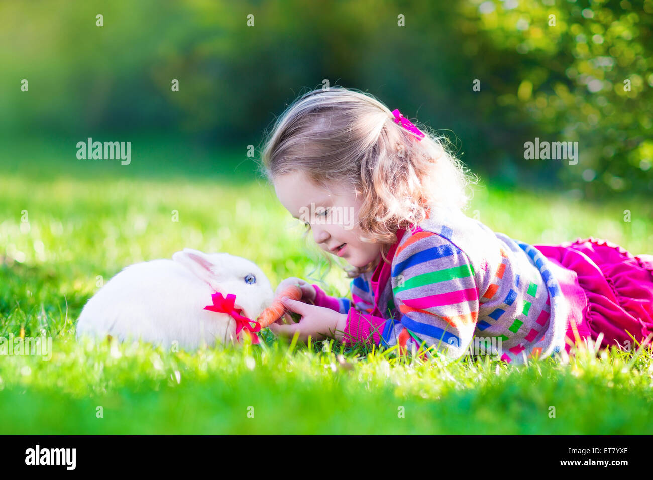 Child feeding rabbit carrot hi-res stock photography and images - Alamy