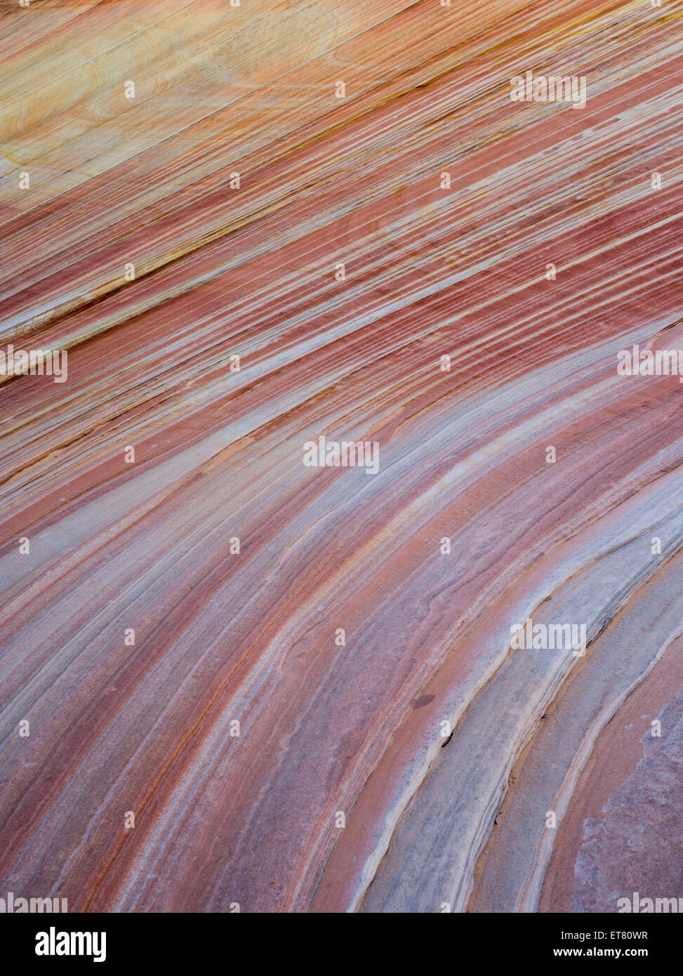 Scene from the beautiful geological formation of colorful folded ...