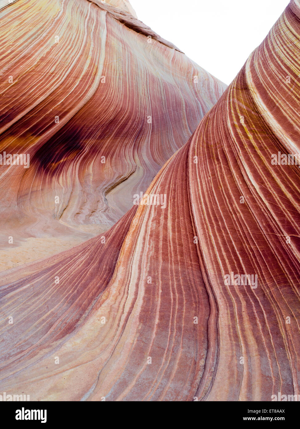 Scene from the beautiful geological formation of colorful folded ...