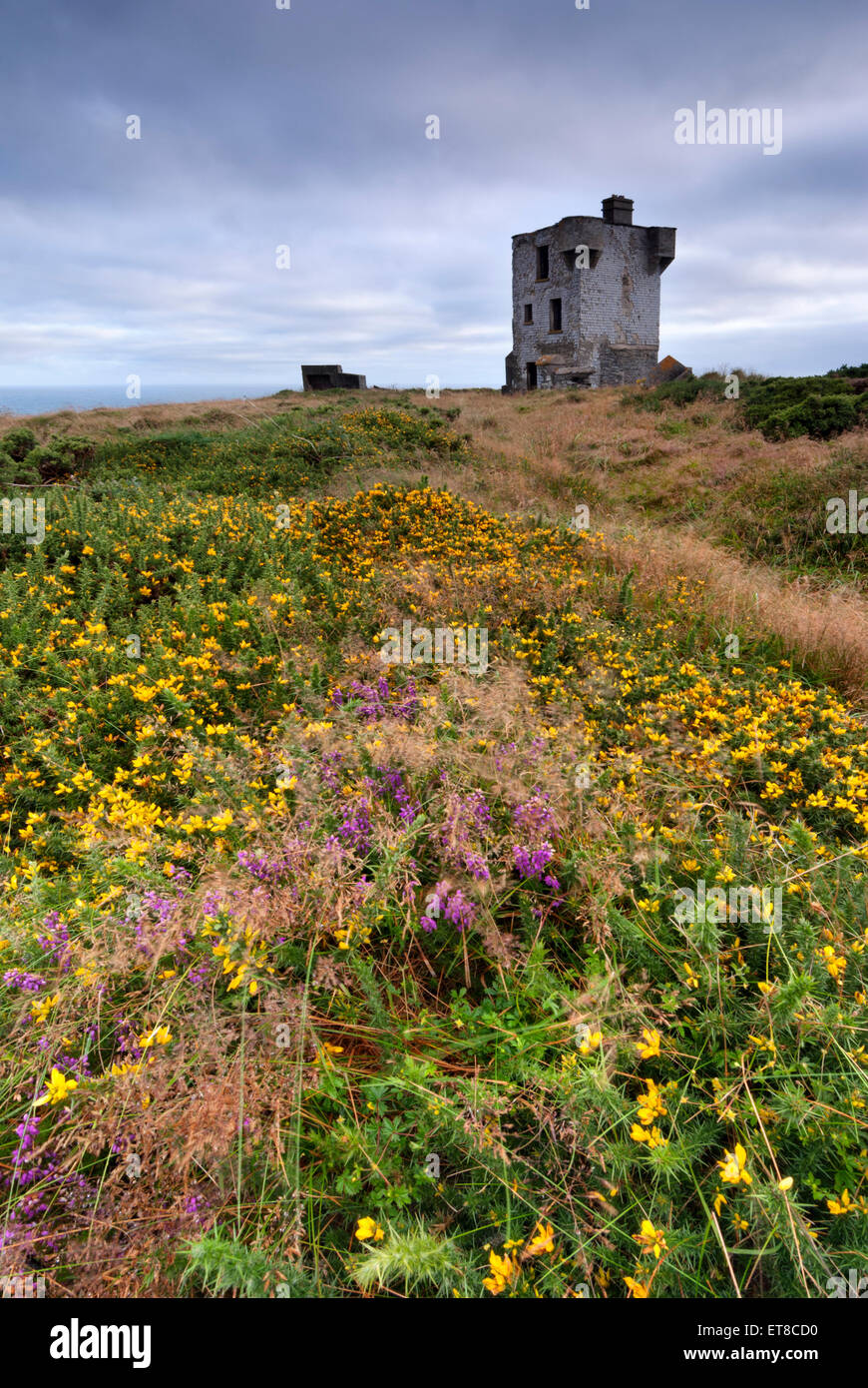 Old castle ruins on cliffs in Crookhaven, County Cork, Ireland Stock ...