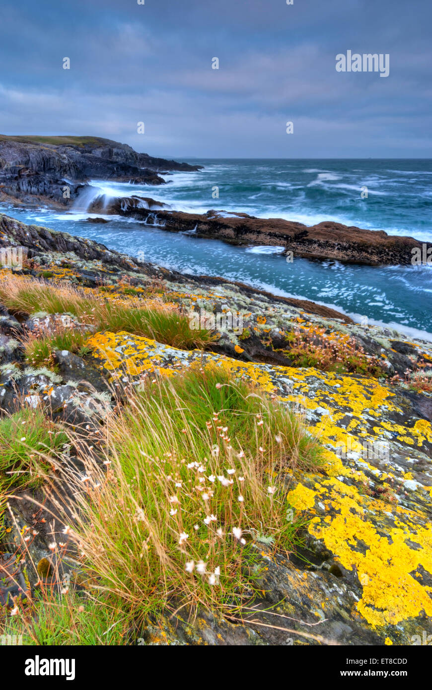 Cliff co cork hi-res stock photography and images - Alamy