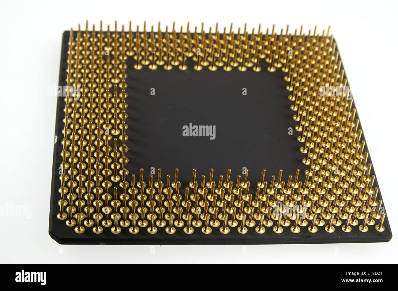 Gold pins microprocessor seen close up on white background Stock Photo ...