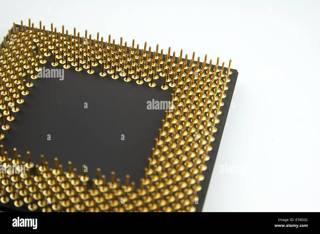 Gold pins microprocessor seen close up on white background Stock Photo ...