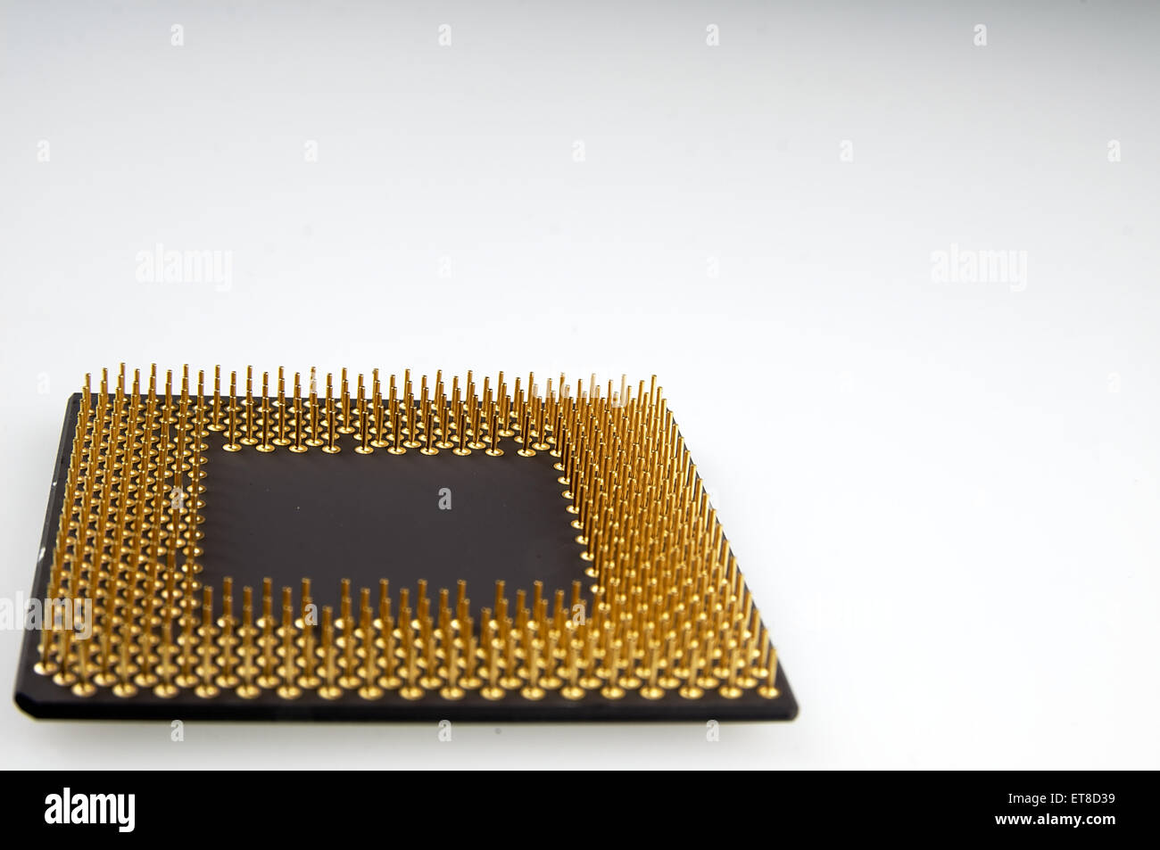 Gold pins microprocessor seen close up on white background Stock Photo ...