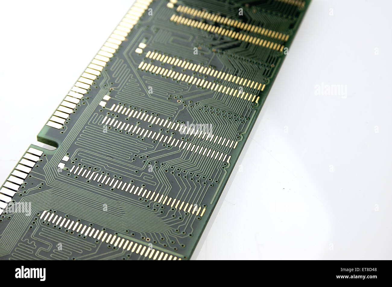 Green ram hi-res stock photography and images - Alamy