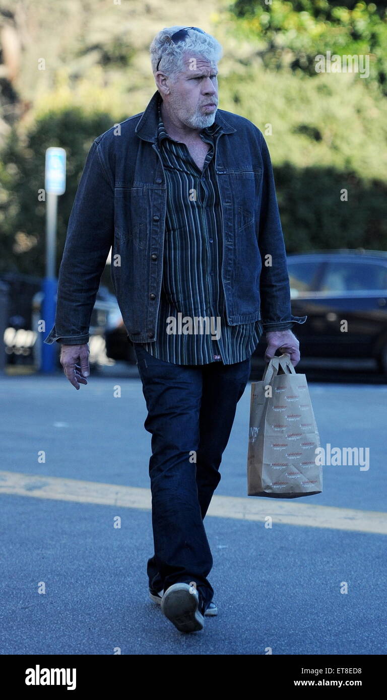 Actor Ron Perlman grocery shopping at Gelson's in Los Angeles ...