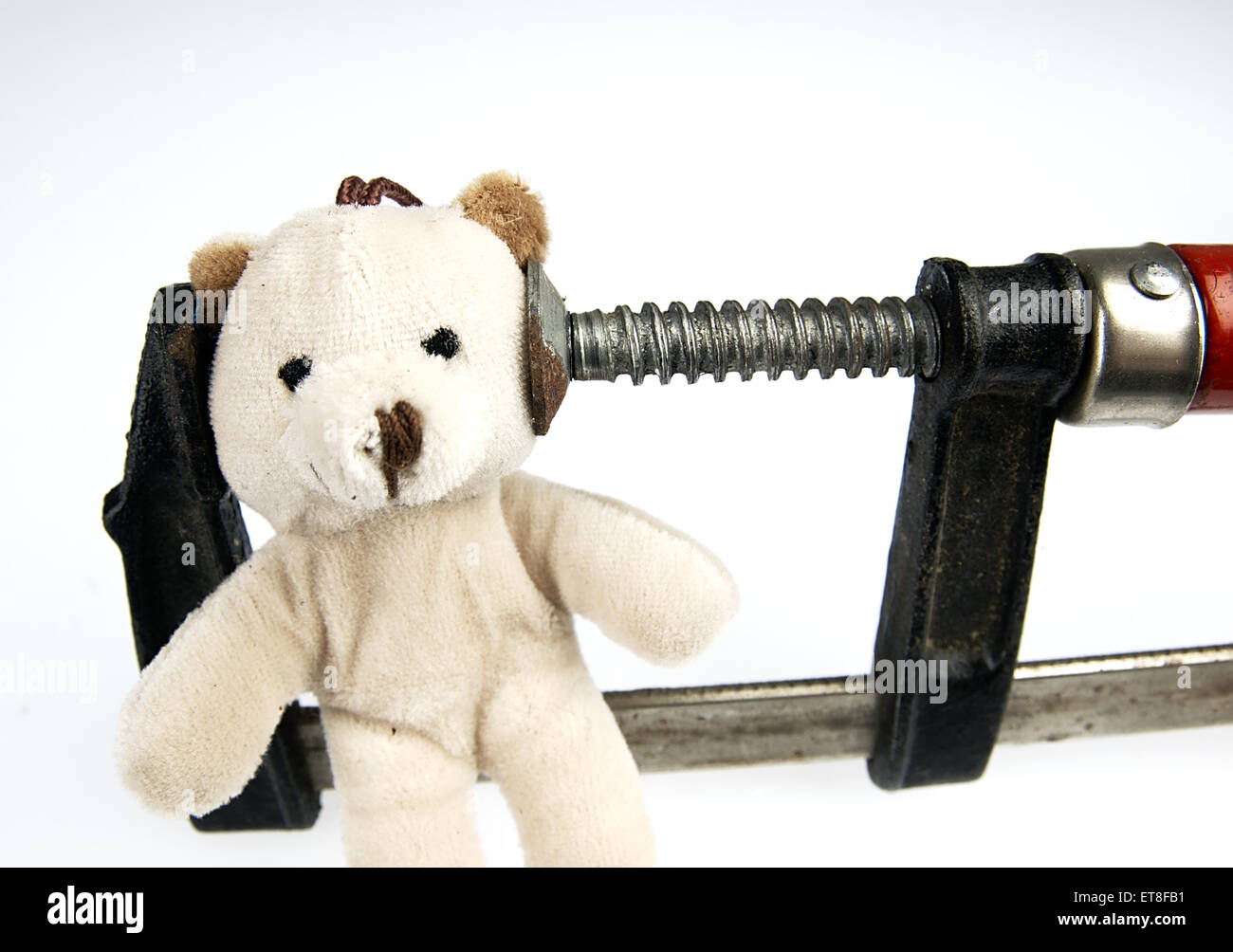 Carpenter clamp on the head teddy bear. The idea for the show stress ...