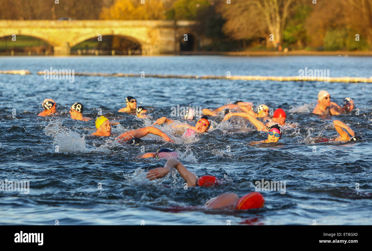 Serpentine swimming club hi-res stock photography and images - Alamy