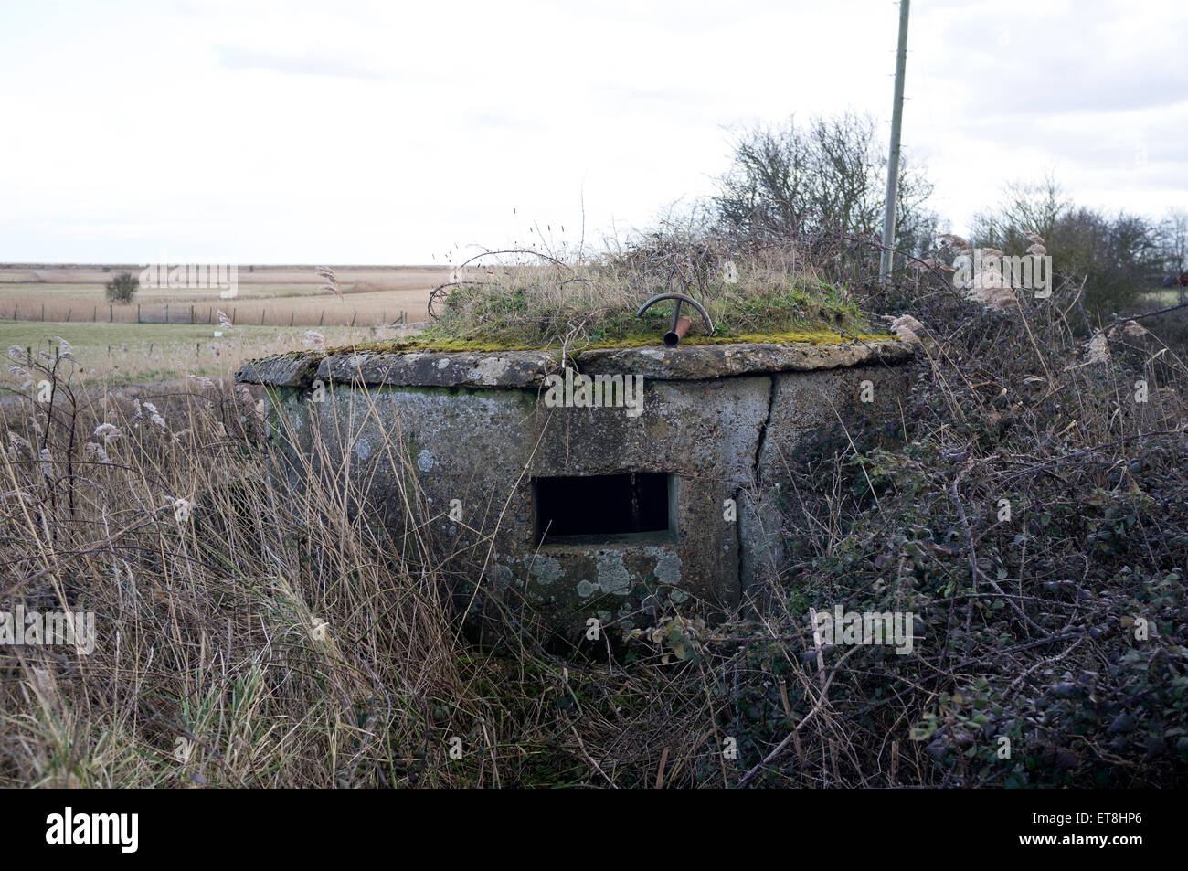 Ww1 pillbox hi-res stock photography and images - Alamy