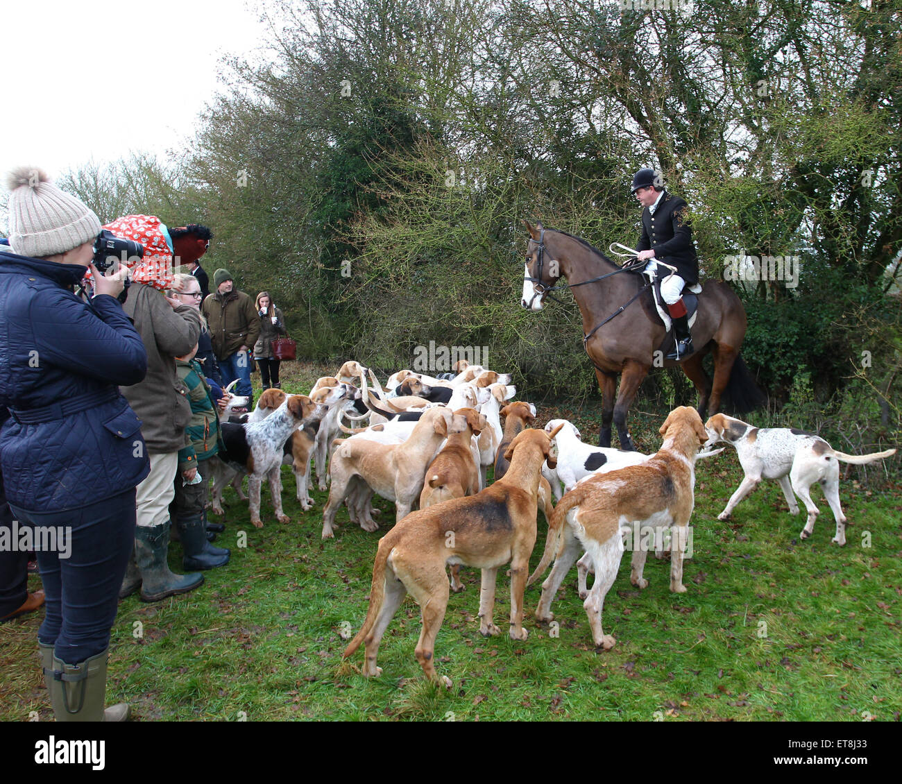 Puckeridge hunt gather traditional boxing hi-res stock photography and ...