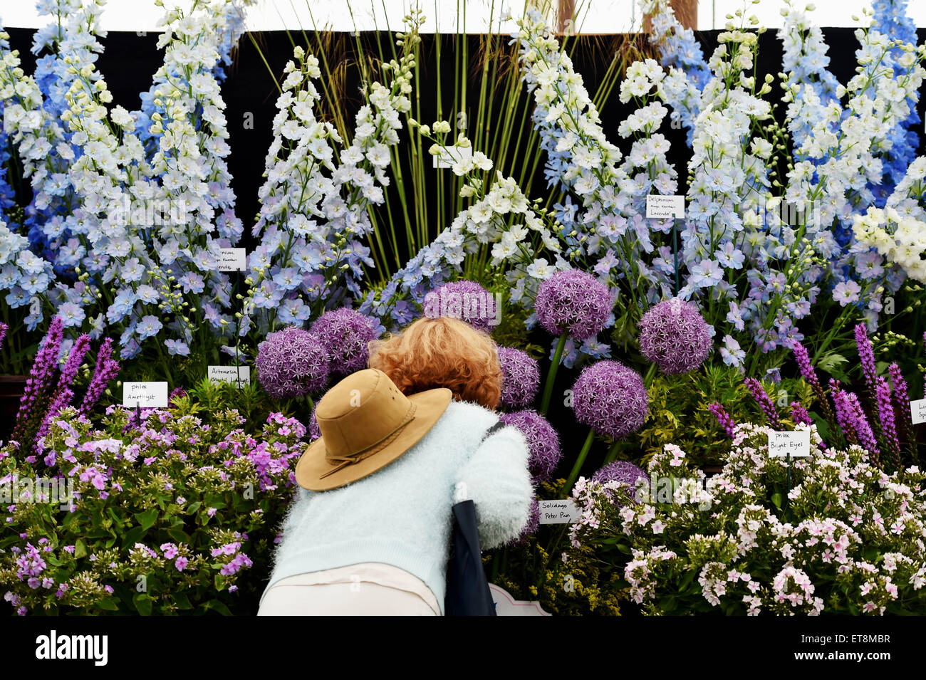 Ardingly Sussex UK 12th June 2015 - Enjoying the floral displays at the ...