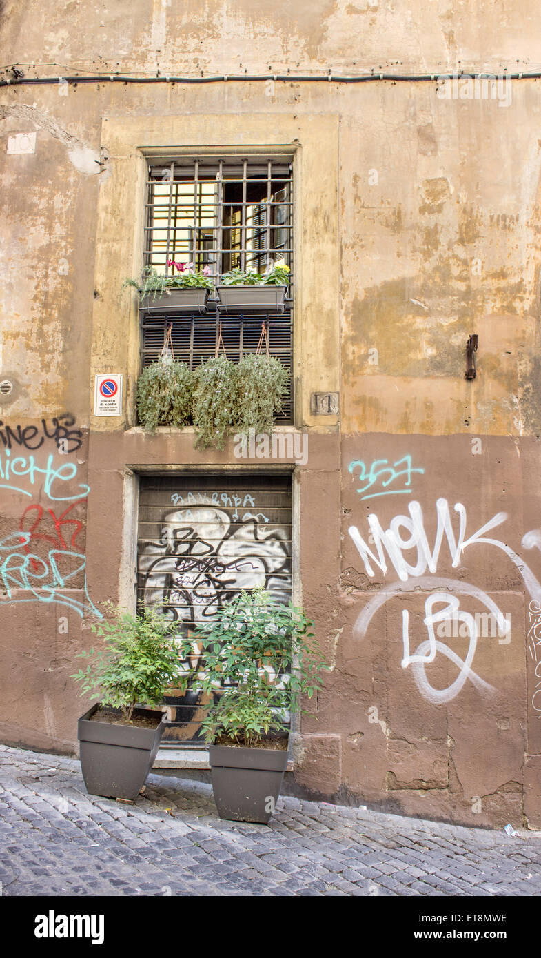 Windows with window bars and various potted plants Stock Photo - Alamy