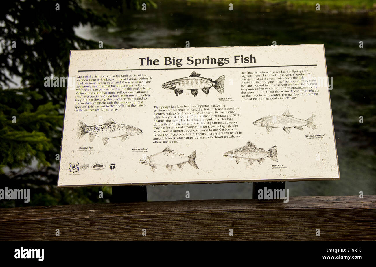 Henrys island hi-res stock photography and images - Alamy