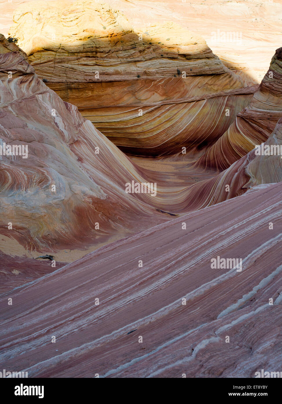 Scene from the beautiful geological formation of colorful folded ...