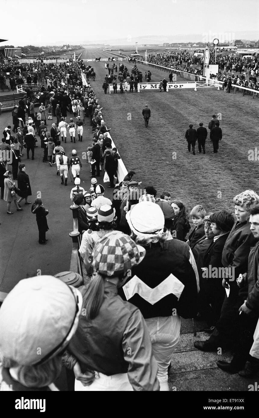 The horses and jockeys for the Daily Mirror Womens Race are parade ...