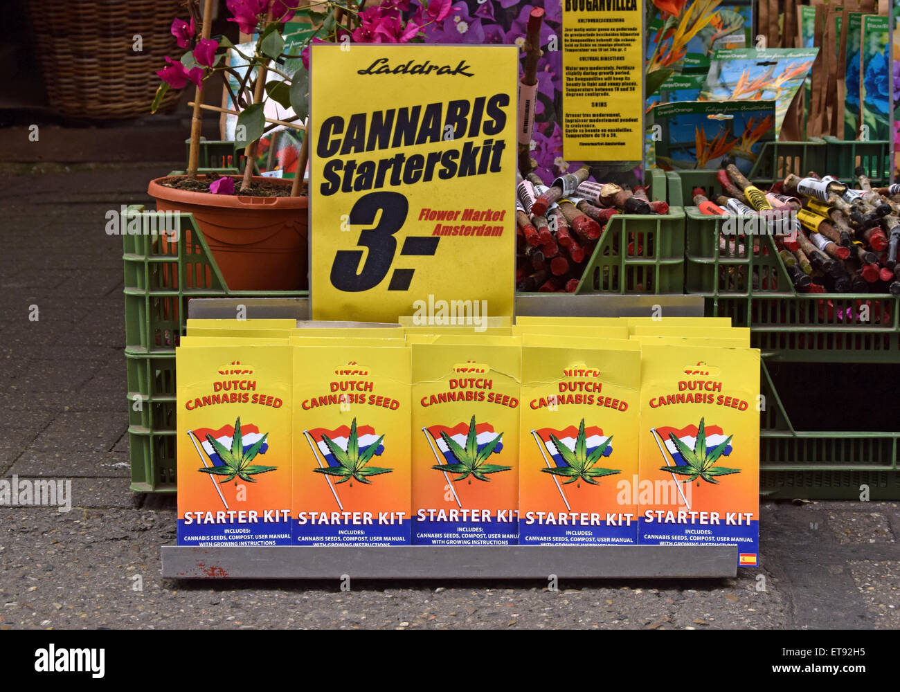 Amsterdam holland netherlands cannabis seeds hi-res stock photography ...