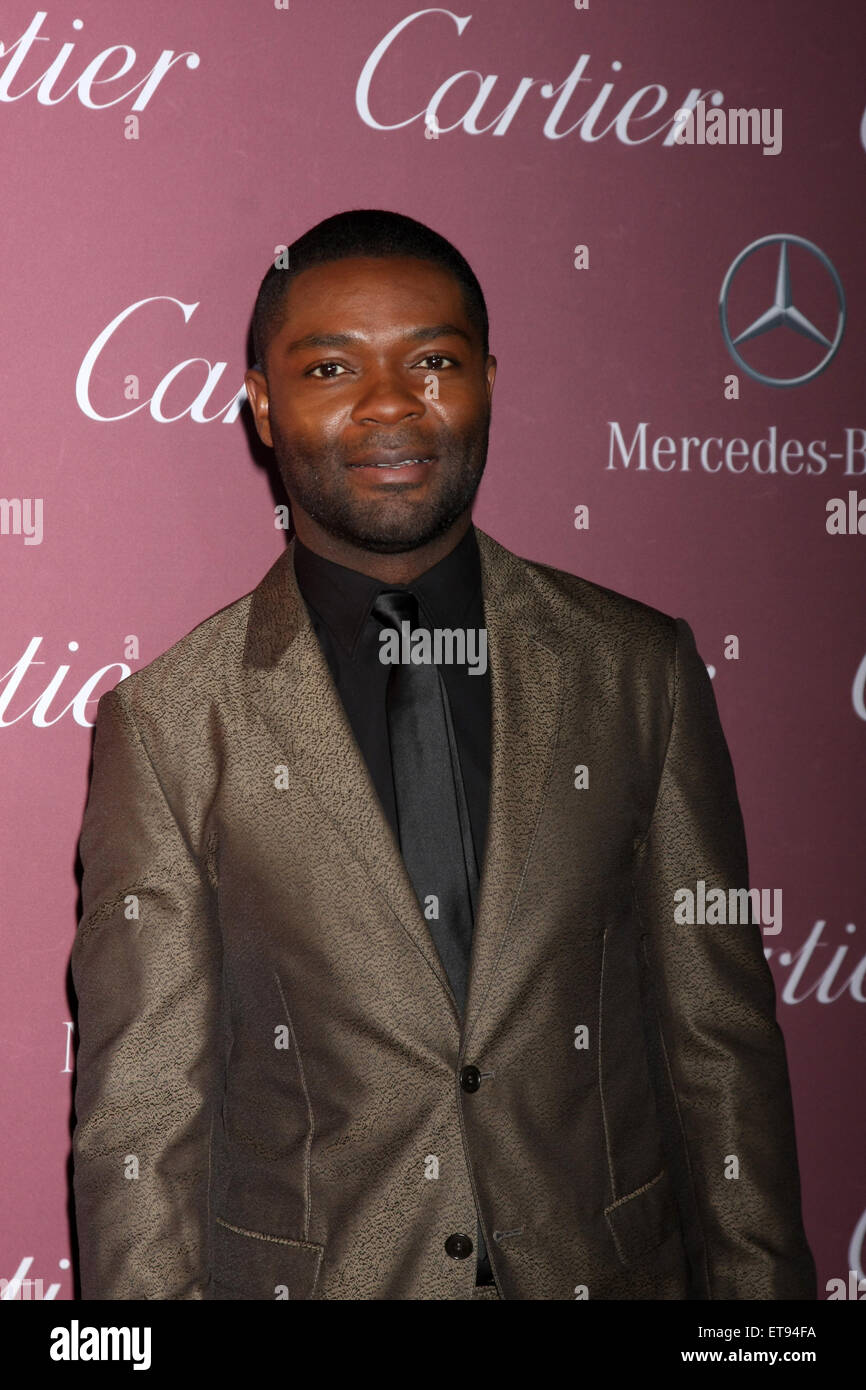 Palm Springs Film Festival Gala 2015 Featuring: David Oyelowo Where: Palm Springs, California ...