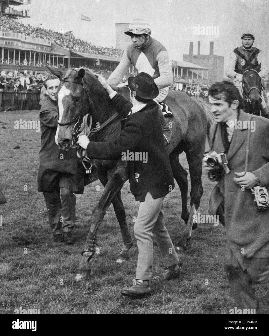 Anglo ridden by Tim Norman being led into the winner's enclosure ...
