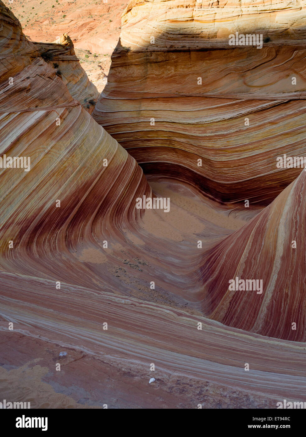 Scene from the beautiful geological formation of colorful folded ...