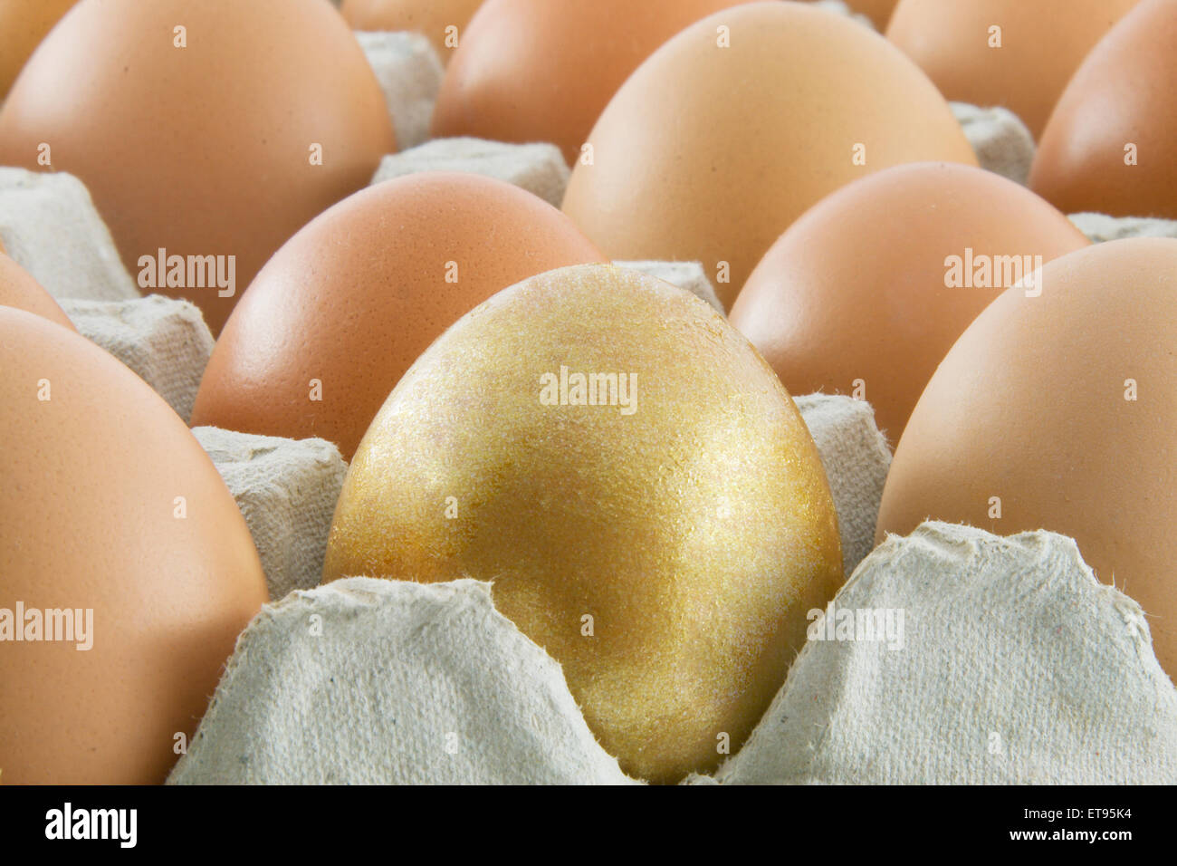 One golden egg with many ordinary fresh rural eggs packed into c Stock ...