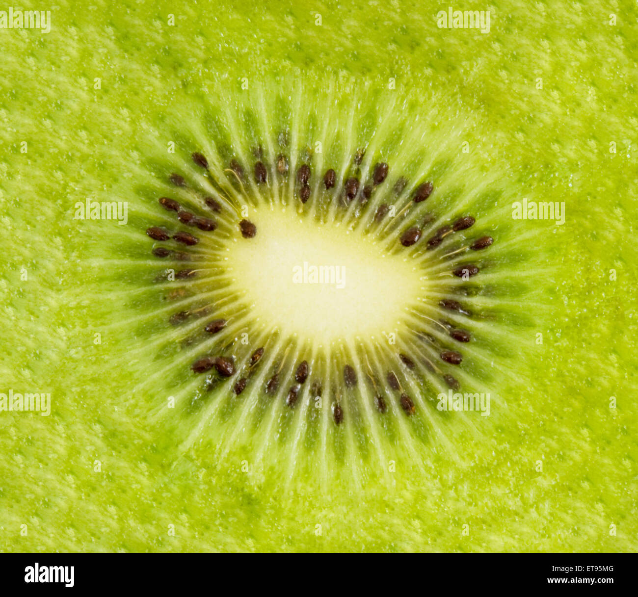 Fresh fruit kiwi slice super macro shooting isolated over white Stock ...