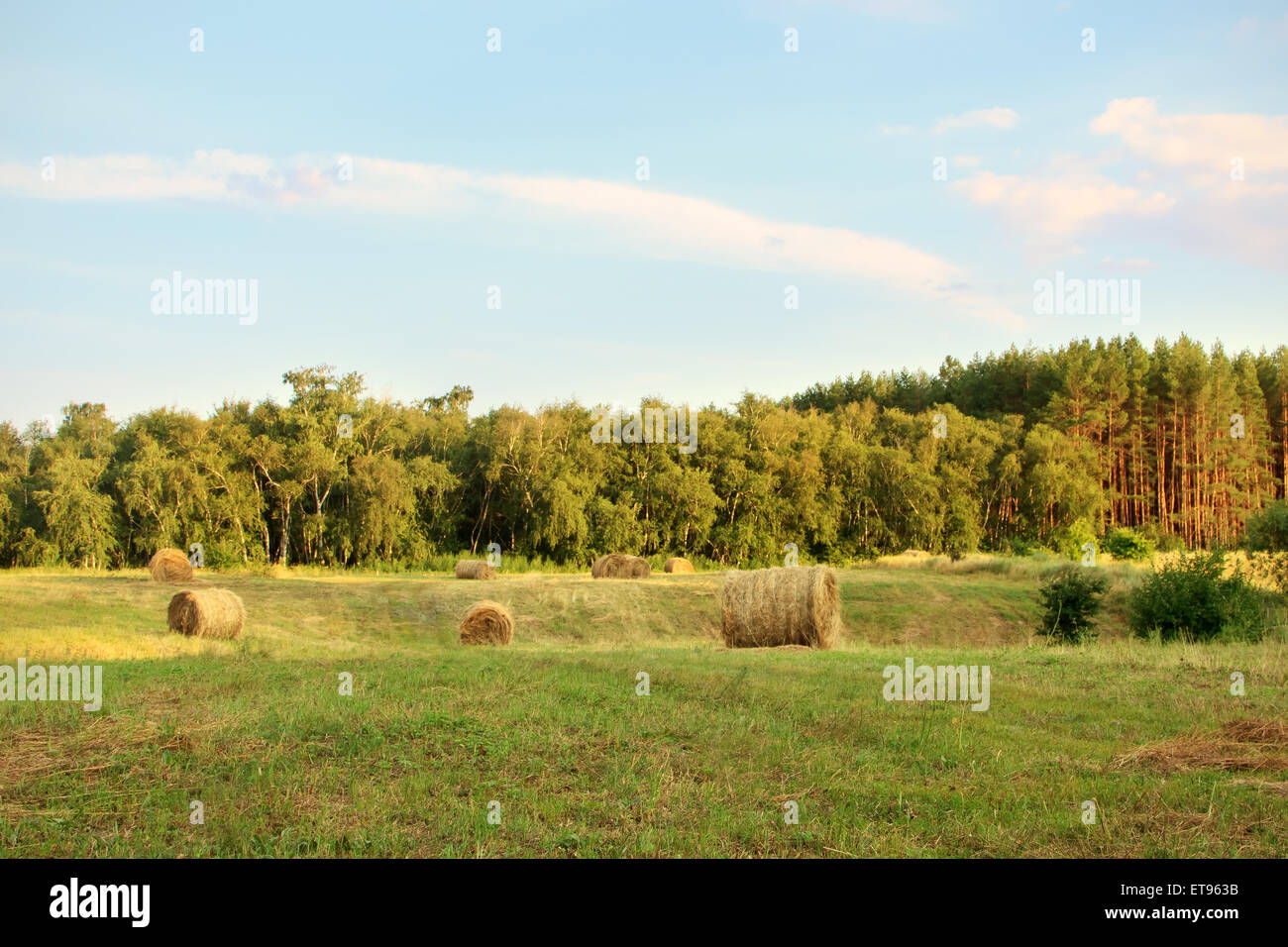 sunset over farm field with hay bales Stock Photo - Alamy