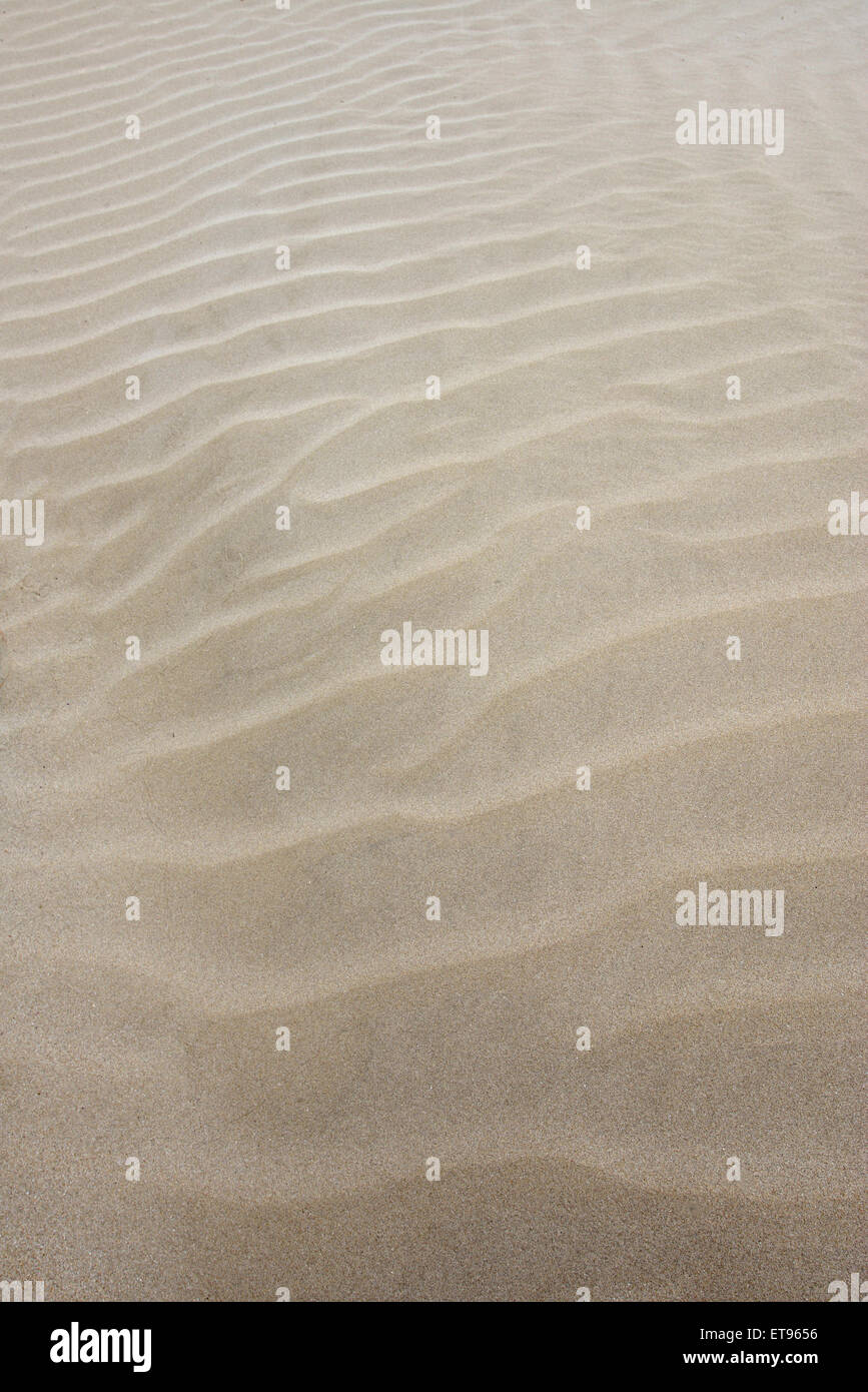 The Sandy Ridge Stock Photo - Alamy