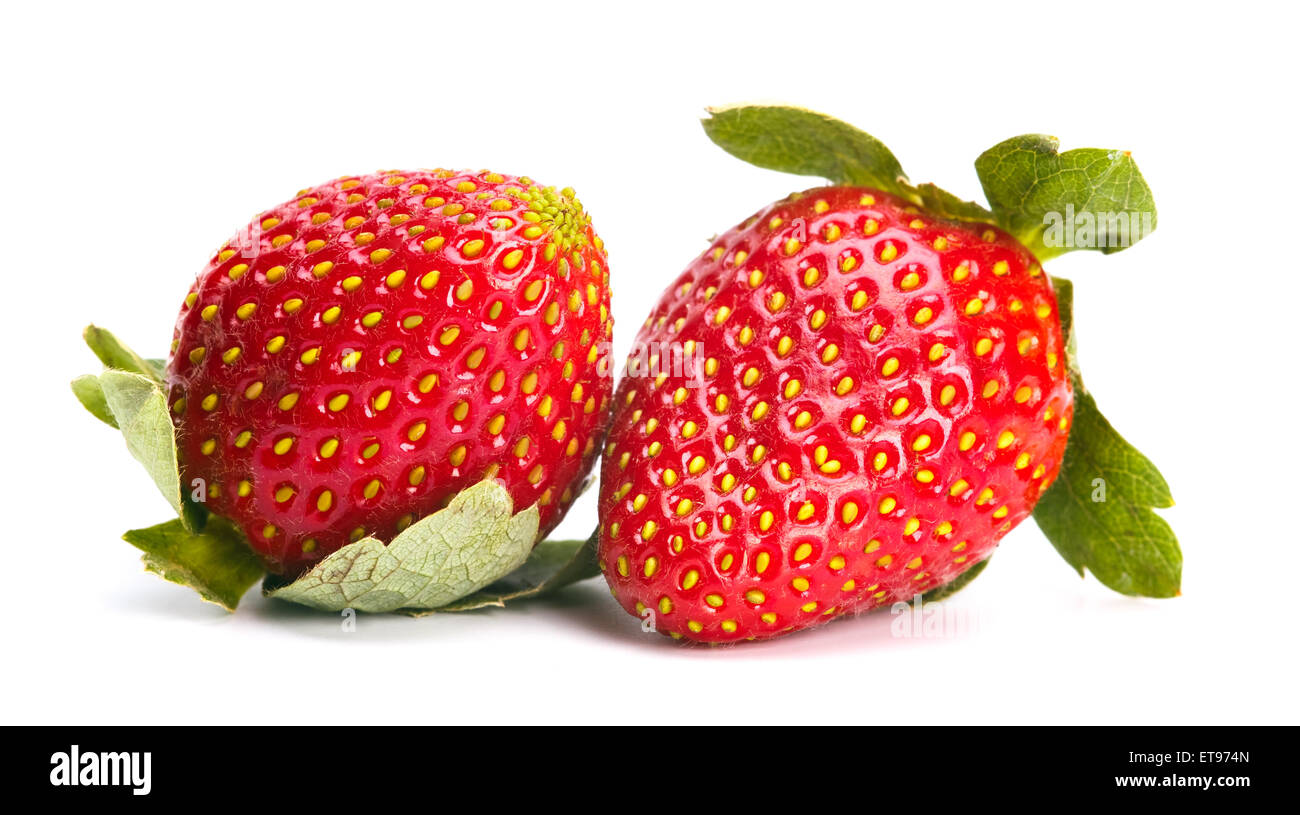Fresh green strawberry plants Cut Out Stock Images & Pictures - Alamy