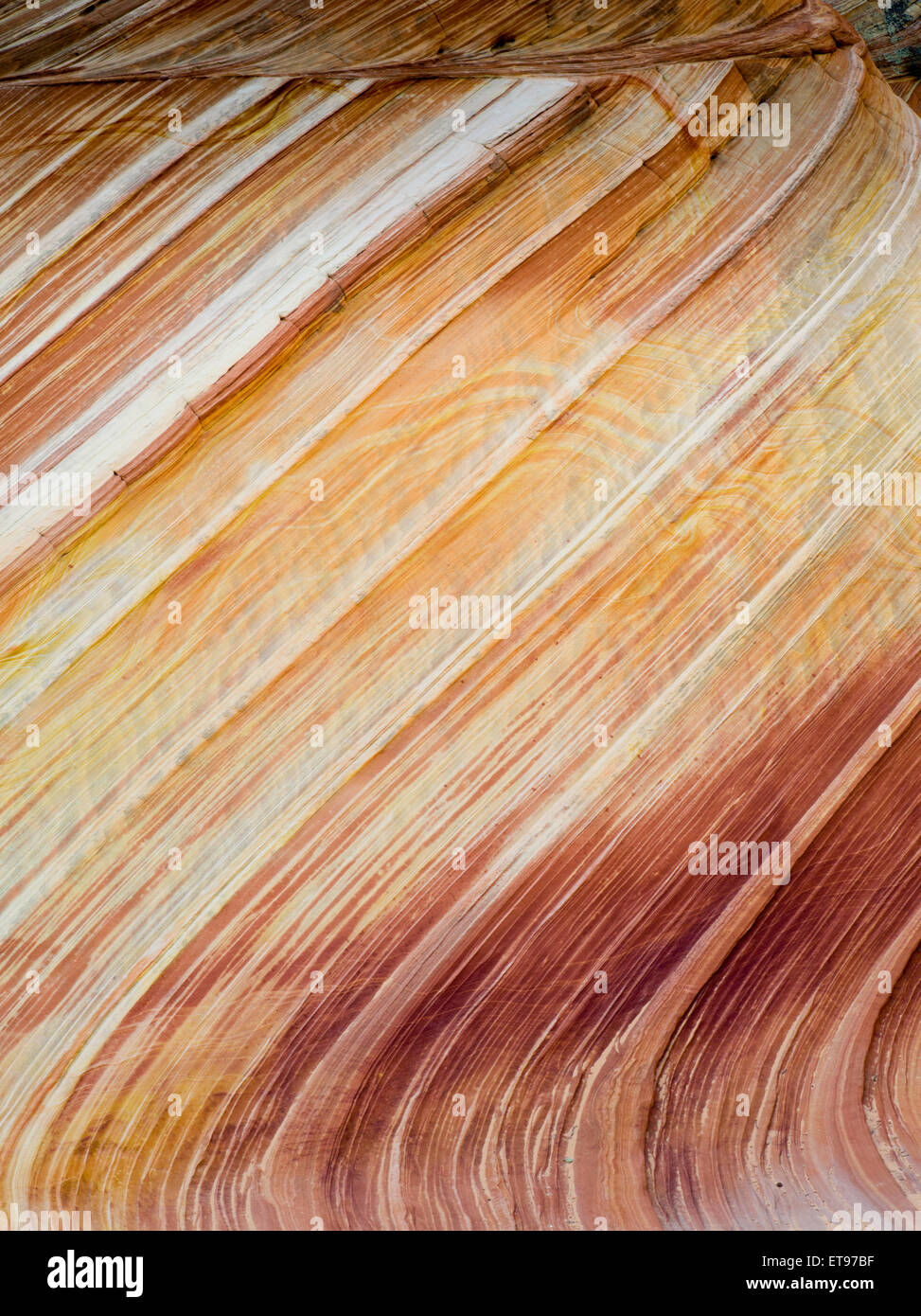 Scene from the beautiful geological formation of colorful folded ...