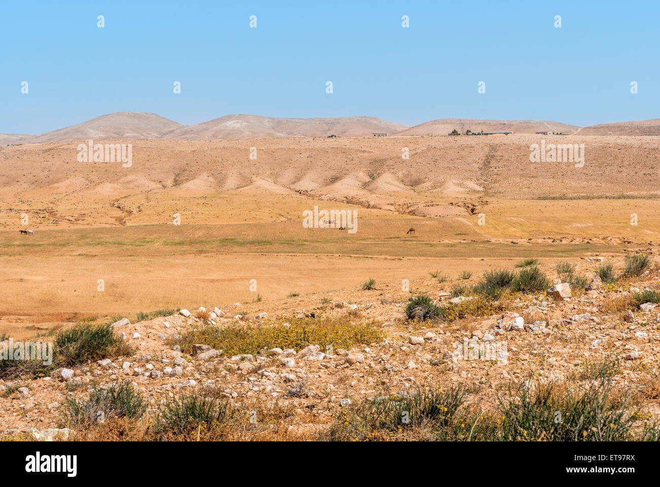 Negev desert background hi-res stock photography and images - Alamy