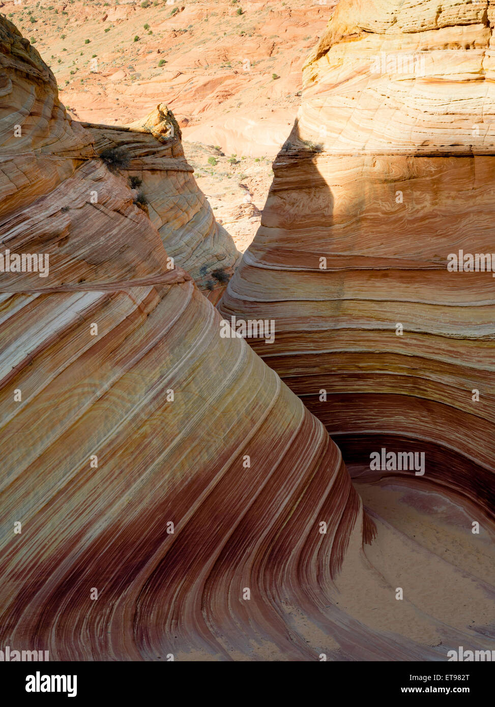 Scene from the beautiful geological formation of colorful folded ...