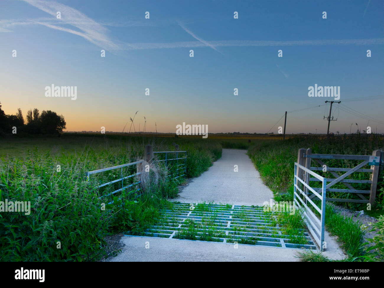 Farm cattle grid hi-res stock photography and images - Alamy