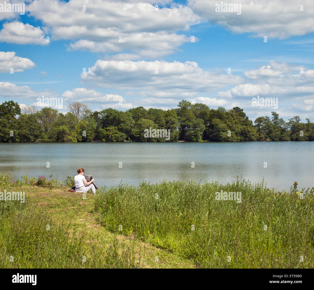 Reigate gatton park hi-res stock photography and images - Alamy