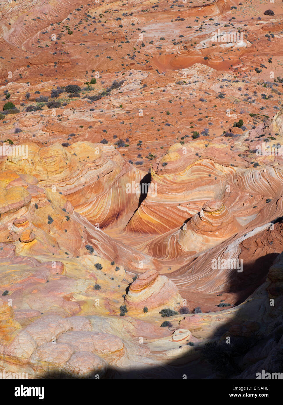 Scene from the beautiful geological formation of colorful folded ...