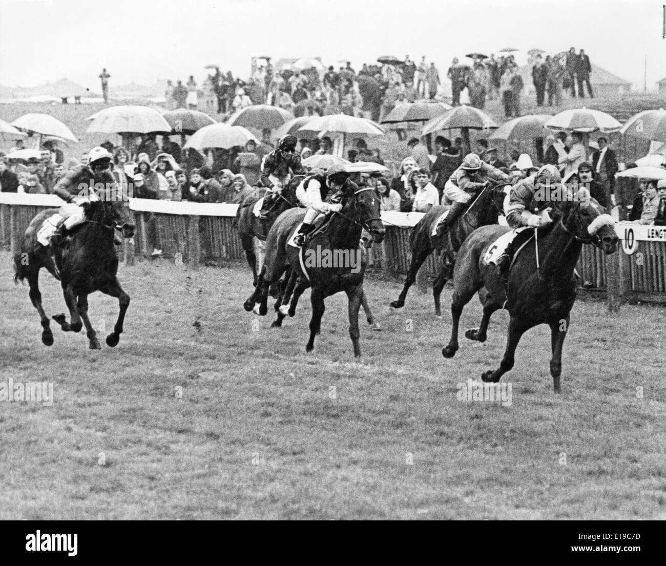 Say Primula and Edward Hide came home clear of Irish Keep, Indian Trail ...