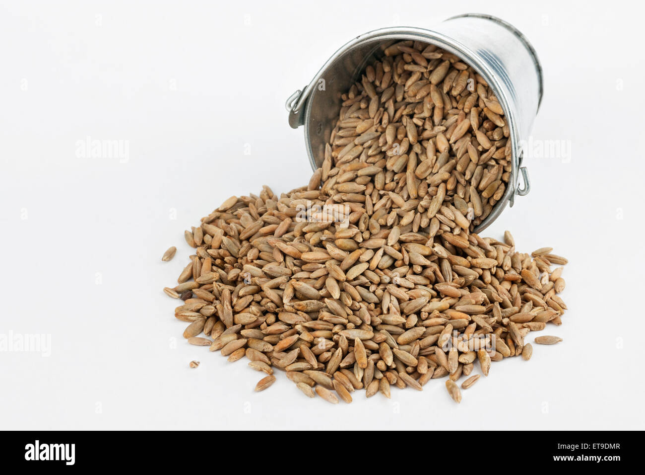 Rye grains spilling out of bucket, on a white background Stock Photo ...