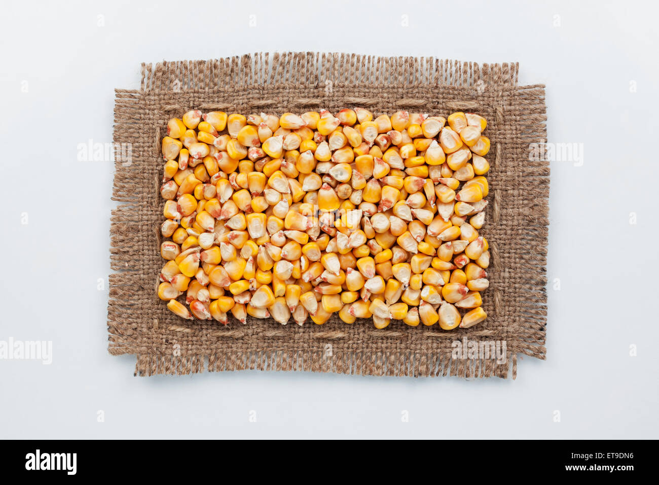 Classical frame made of burlap with grains of corn, on a white ...