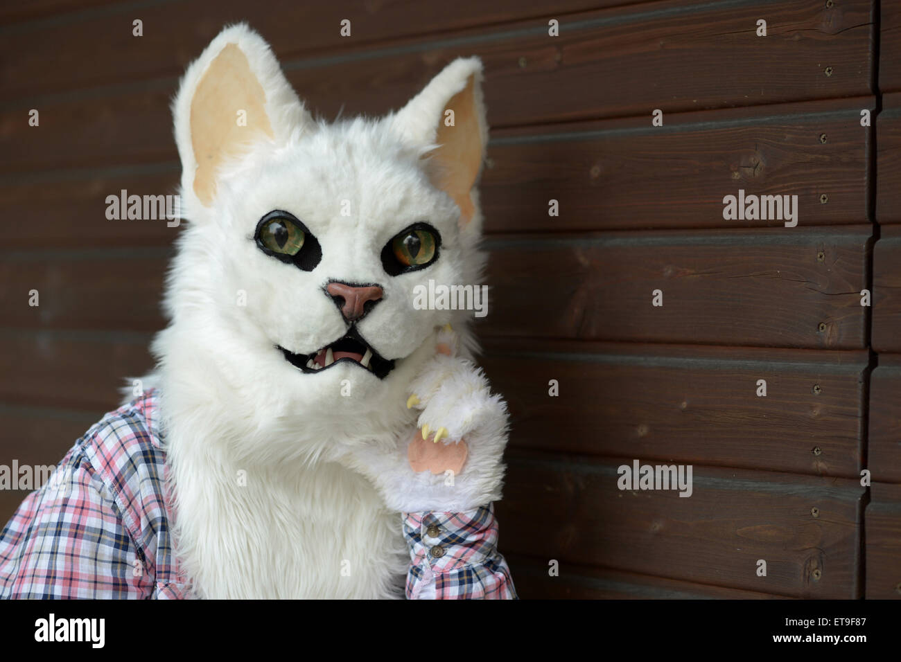 Estrel berlin hi-res stock photography and images - Alamy