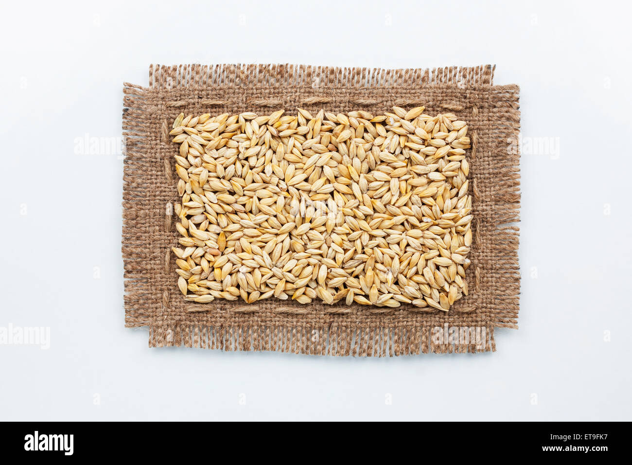 Classical frame made of burlap with grains of barley, on a white ...